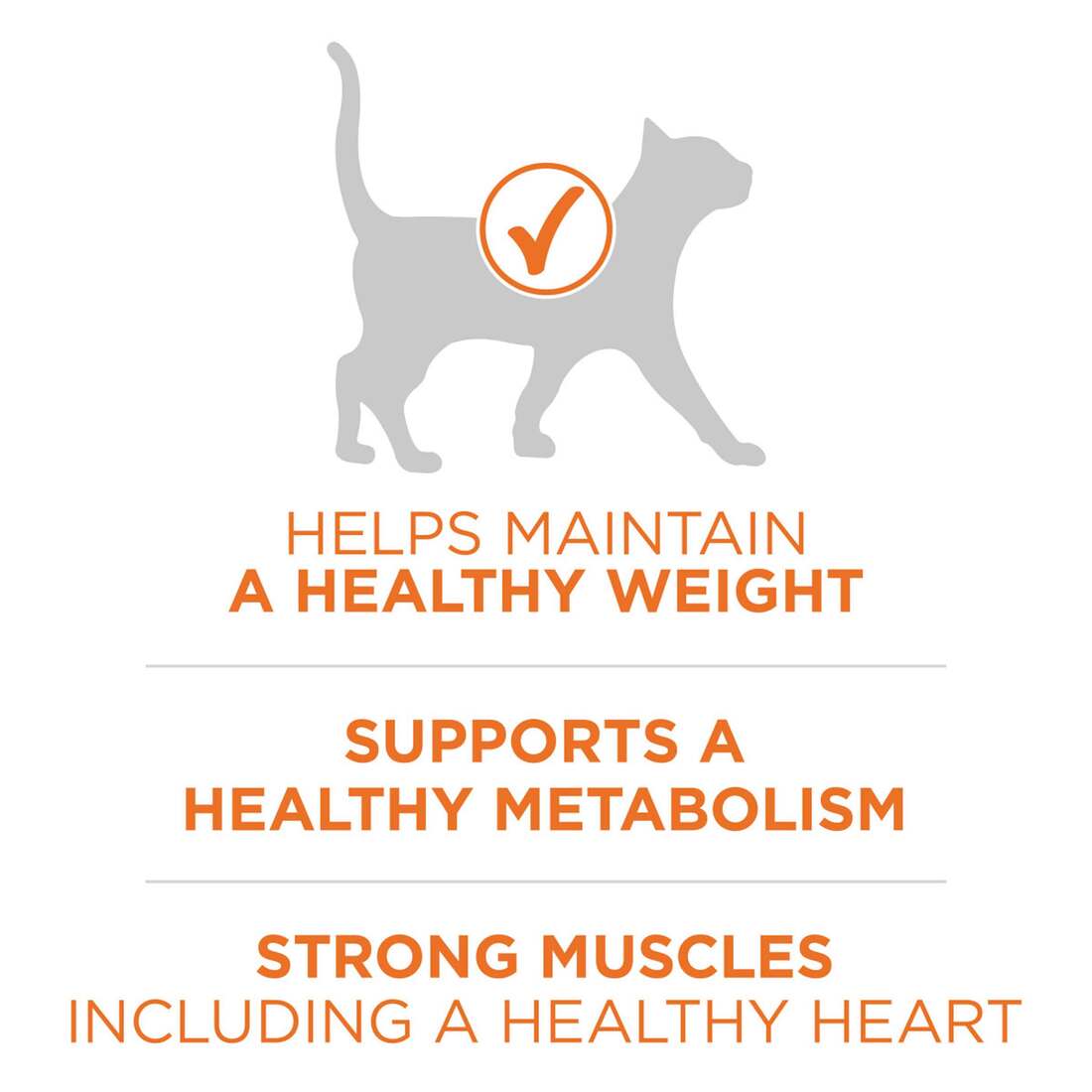 Purina ONE High Protein, Healthy Weight Plus Ideal Weight With Chicken ...