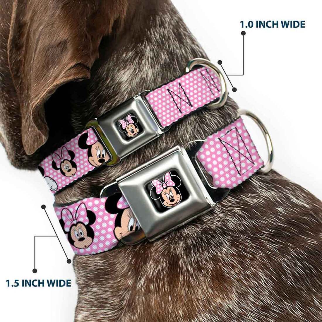 Dog Supplies Collars, Leashes & Harnesses Buckle Down Minnie Mouse Face ...
