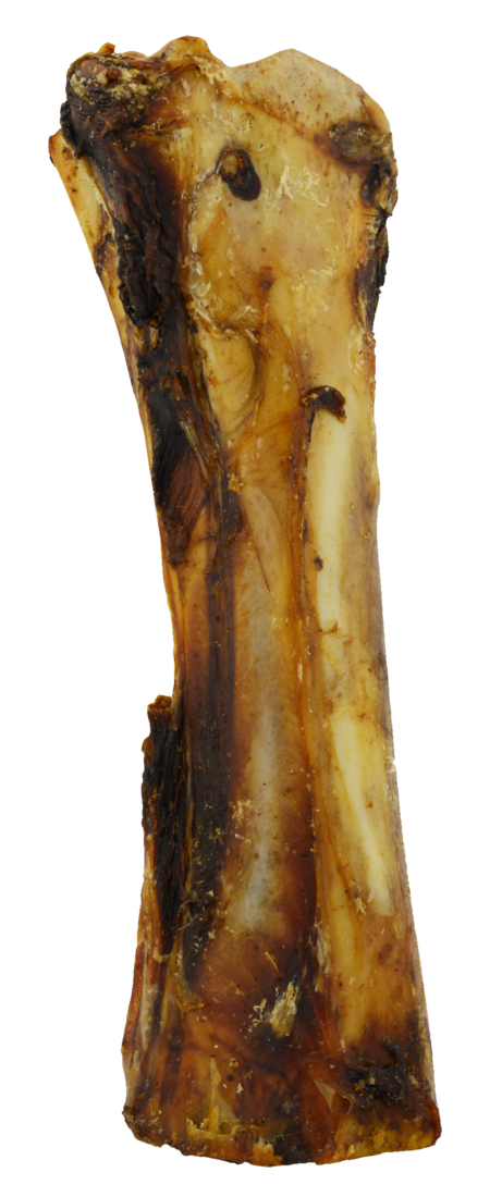Wixom Ranch Natural Chews Beef Marrow Bone | Pet Supplies Plus