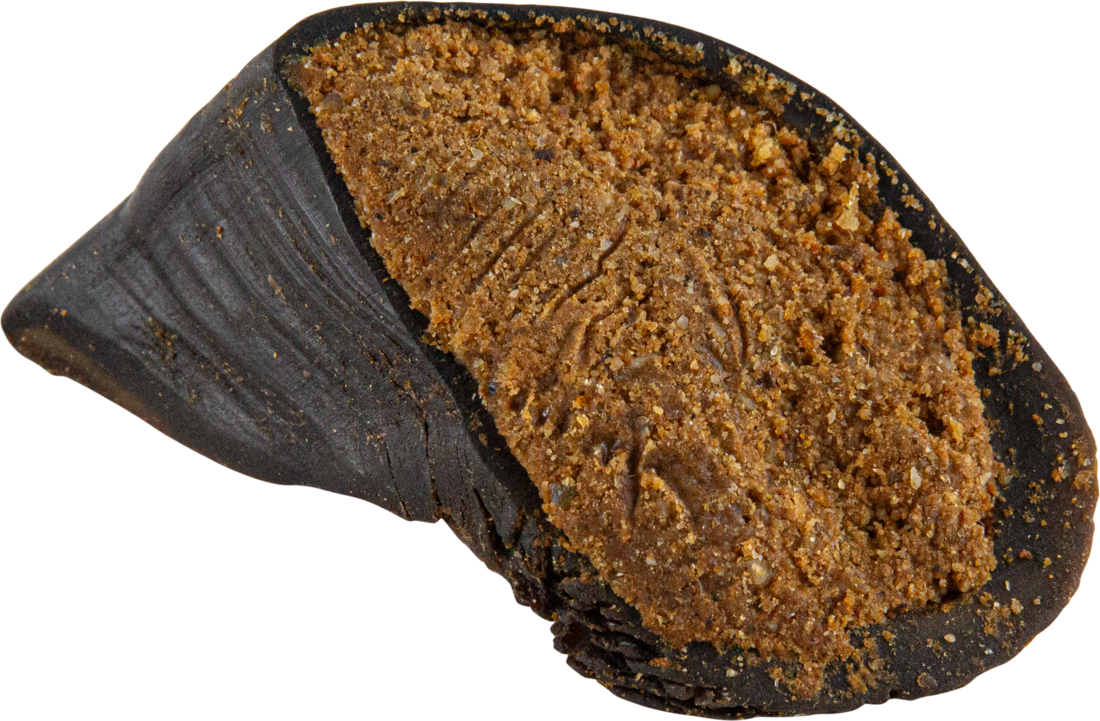 Wixom Ranch Natural Chews Stuffed Hoof With Real Bully | Pet Supplies Plus