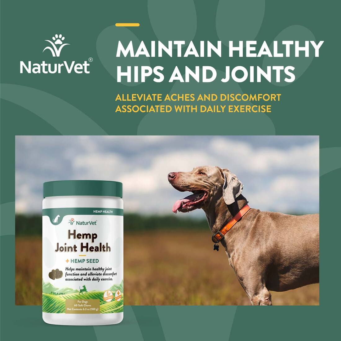 NaturVet Dog Hemp Soft Chew Joint Health, 60 Count | Pet Supplies Plus