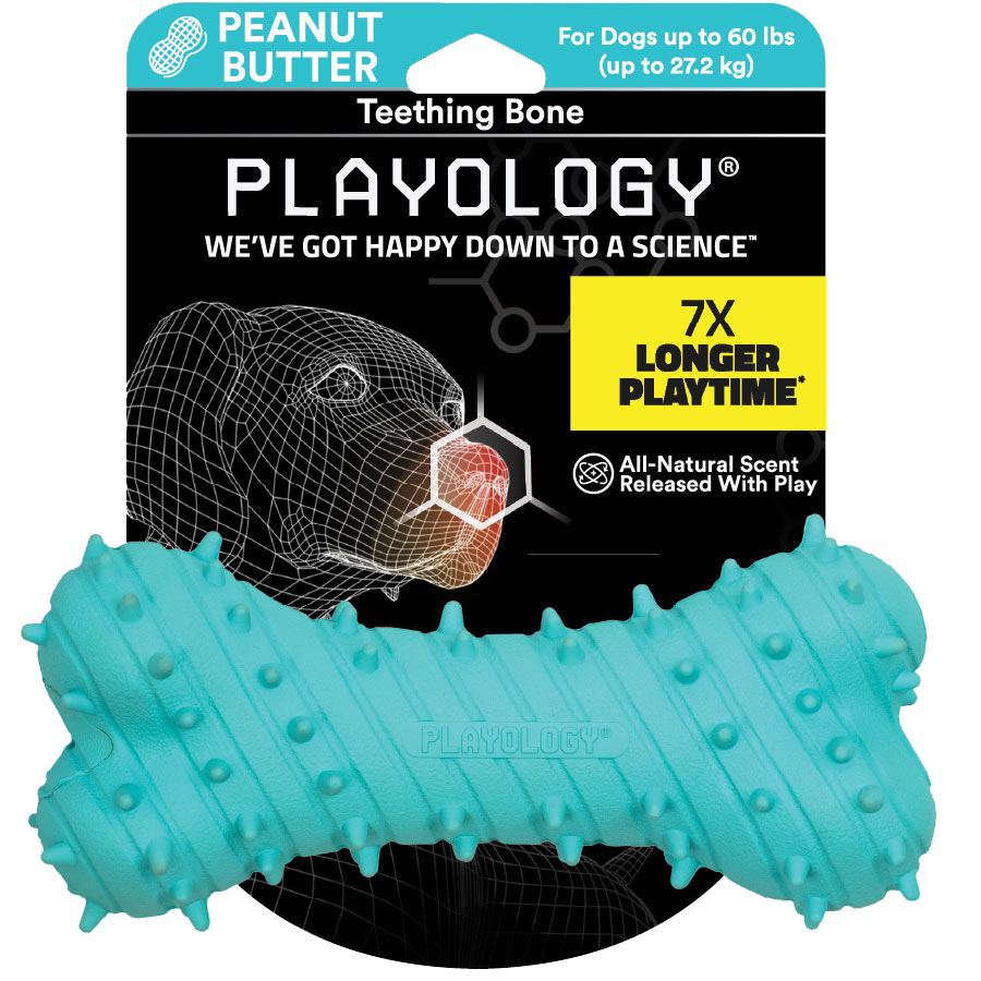 Playology Teething Bone Dog Toy, Peanut Butter, Large | Pet Supplies Plus