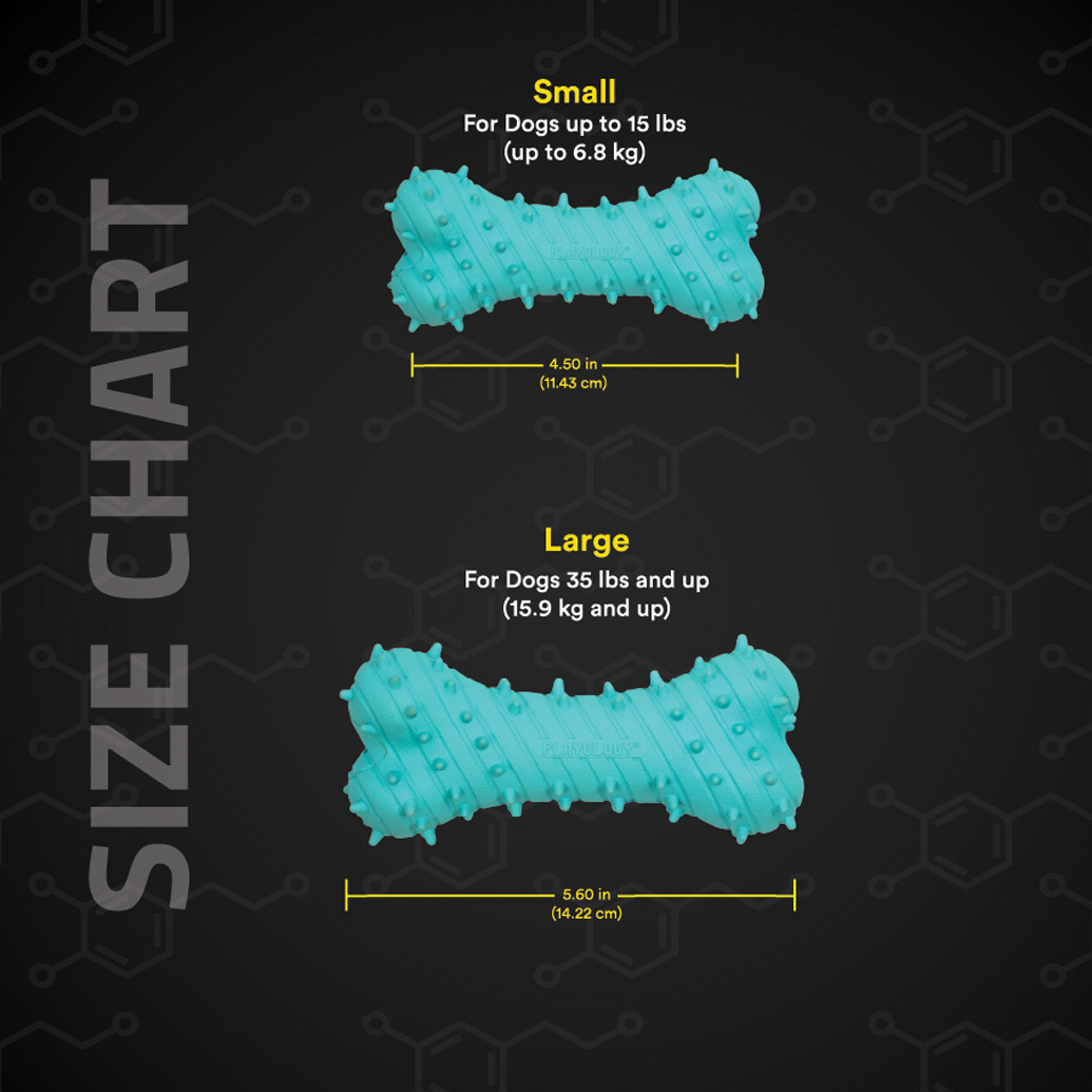 Playology Teething Bone Dog Toy, Peanut Butter, Large | Pet Supplies Plus