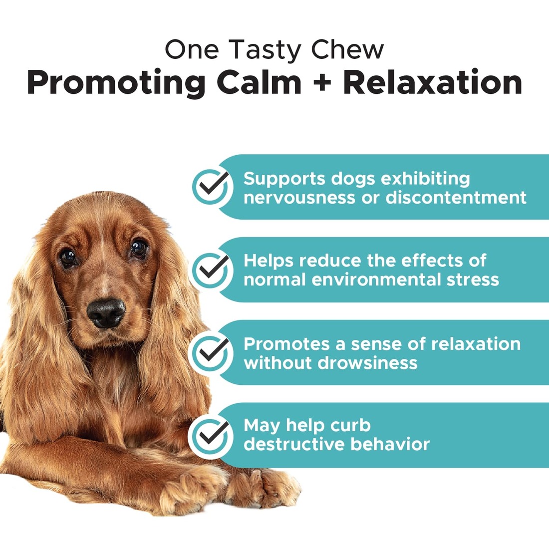 Pet Honesty Hemp Calming Supplement for Dogs, Chicken Flavor, 90 Chews ...