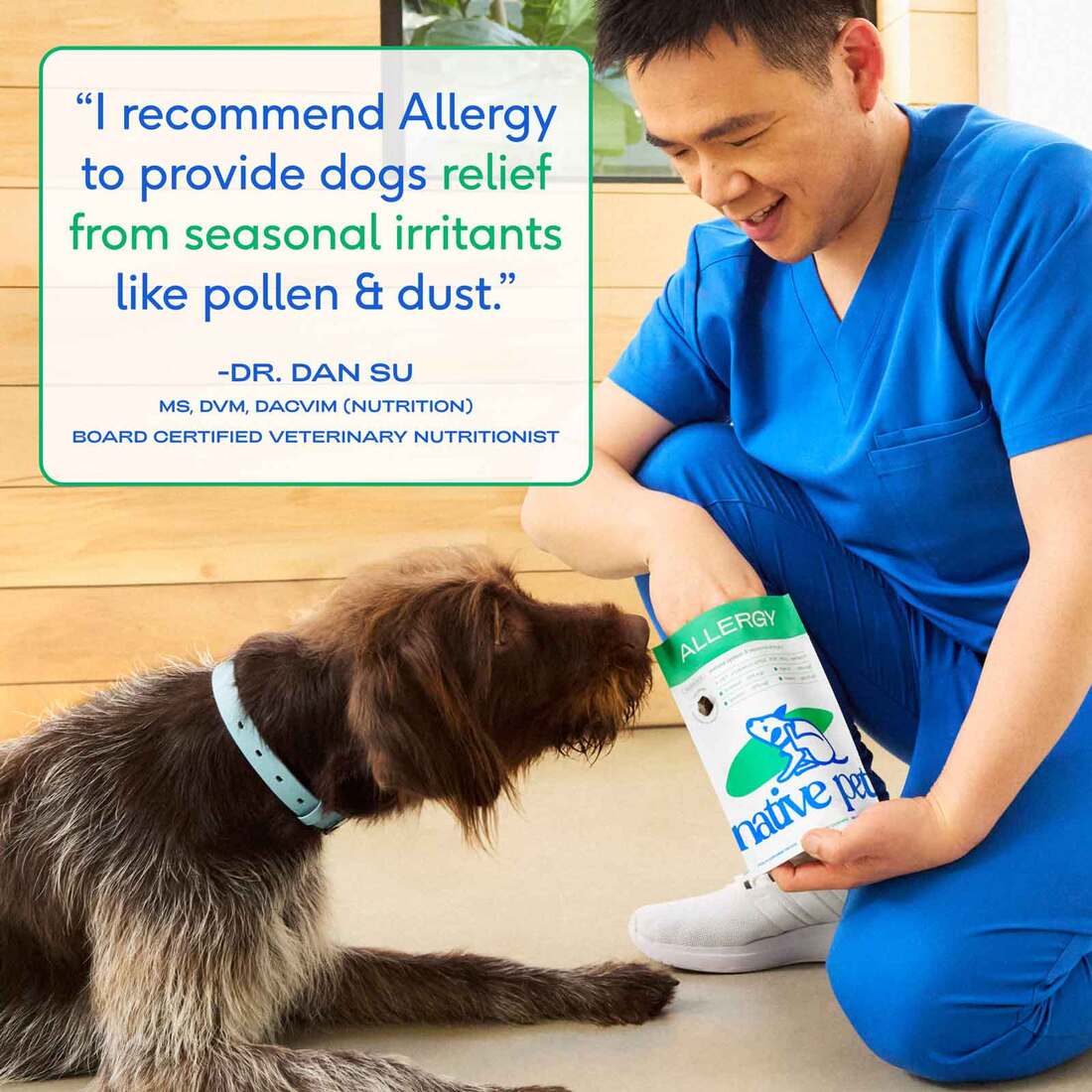 Dog Supplies Health & Wellness Native Pet Allergy Dog Supplement, Air ...
